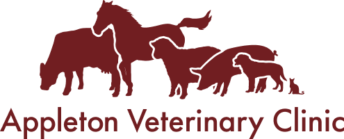 Vet Near Me 56208 - Appleton Veterinary Clinic